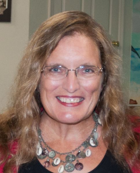 Reviewing COTI’s year of work - SANIBEL-CAPTIVA - Island Reporter ...